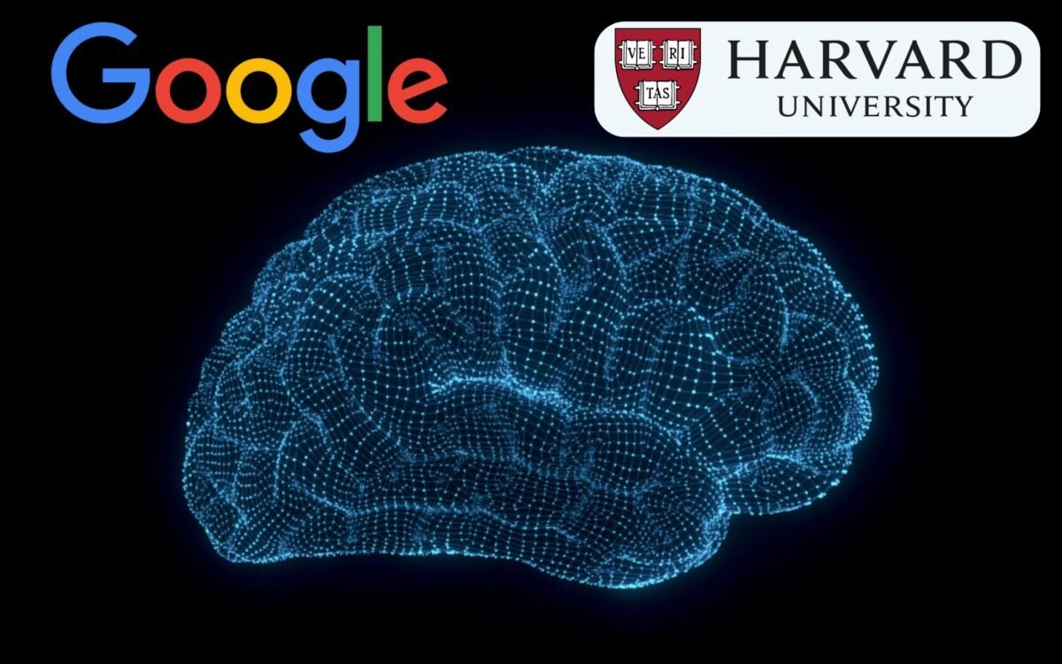 Harvard and Google Use AI to Create Astonishing 3D Map